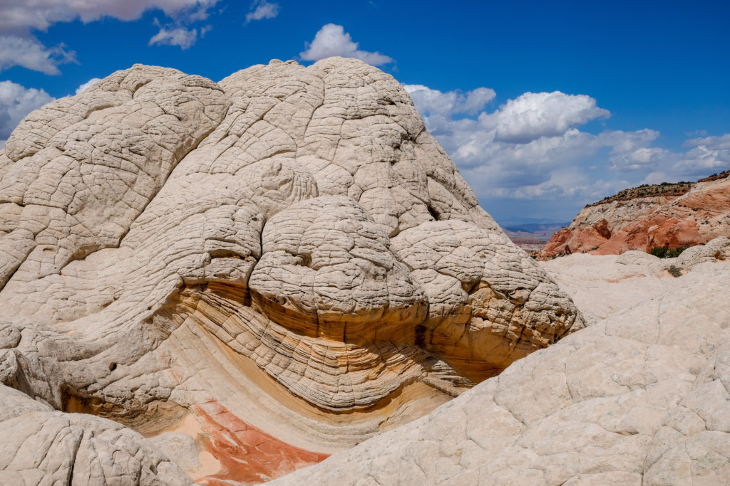 Things to Know Before You Visit White Pocket, Vermillion Cliffs ...